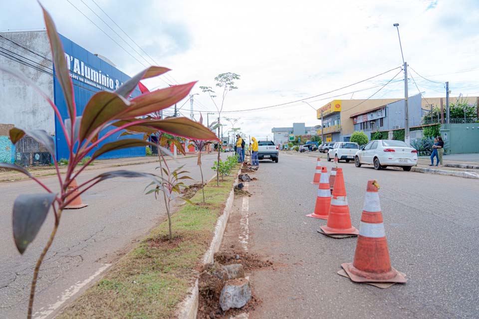 Programa Arboriza Porto Velho chega à avenida José Vieira Caúla | Geral | Rondônia Dinâmica